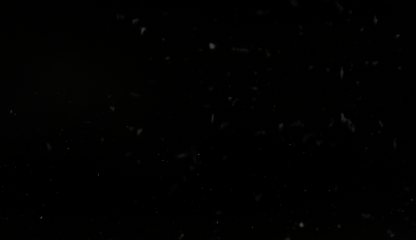 FEAR - SIGNED CD - NF Official Store