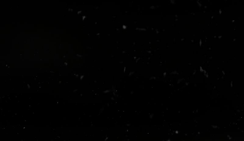 HOPE - CD - NF Official Store